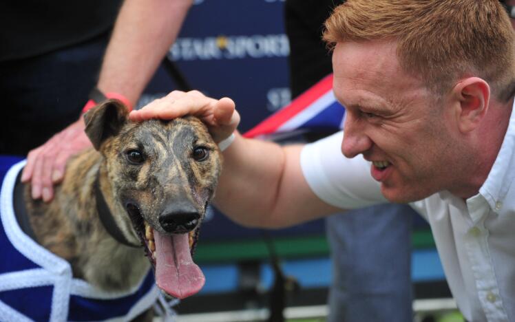 News Articles | Nottingham Greyhound Stadium