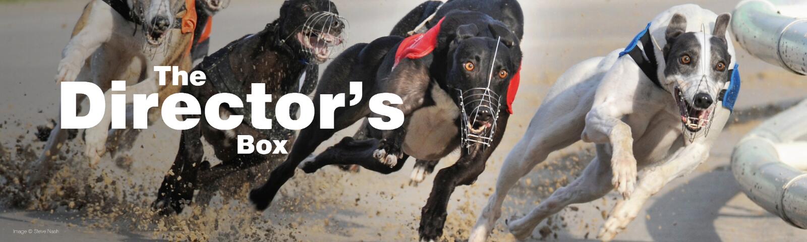 Nottingham Greyhounds | Nottingham Greyhound Stadium Nottingham Greyhounds | Nottingham Greyhound Stadium