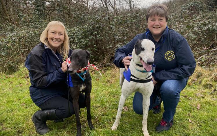 News Articles | Nottingham Greyhound Stadium