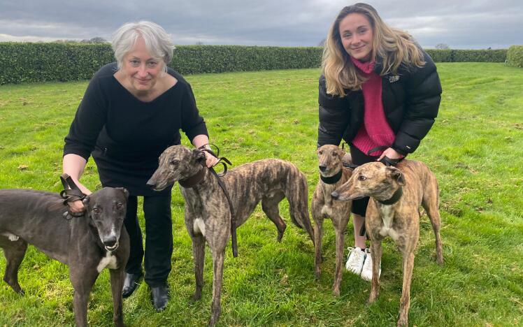 Nottingham Greyhounds | Nottingham Greyhound Stadium